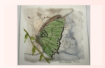 Artist Of Watercolor